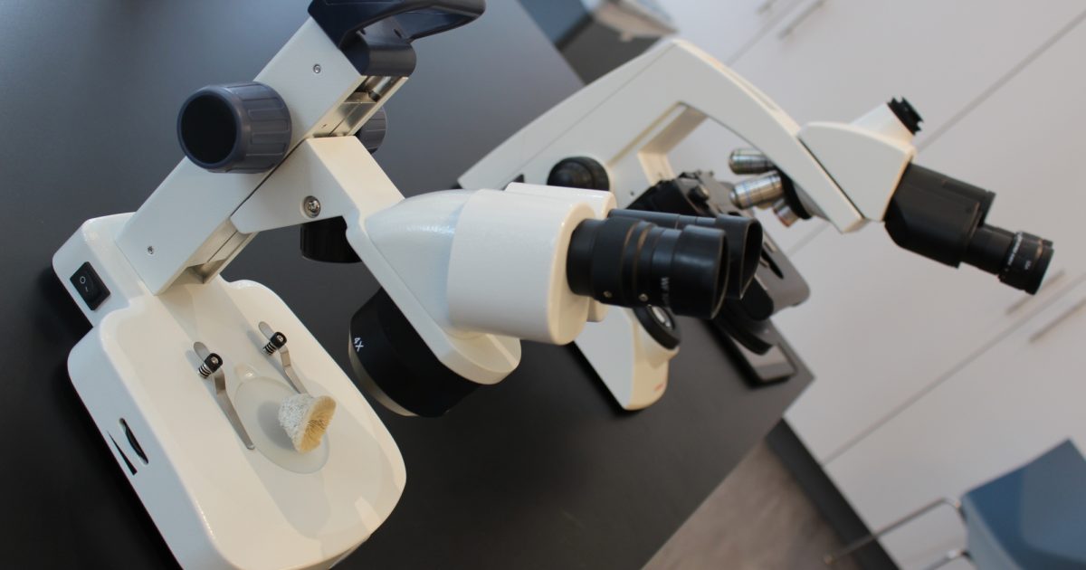 in our Learning Labs | MIT Museum