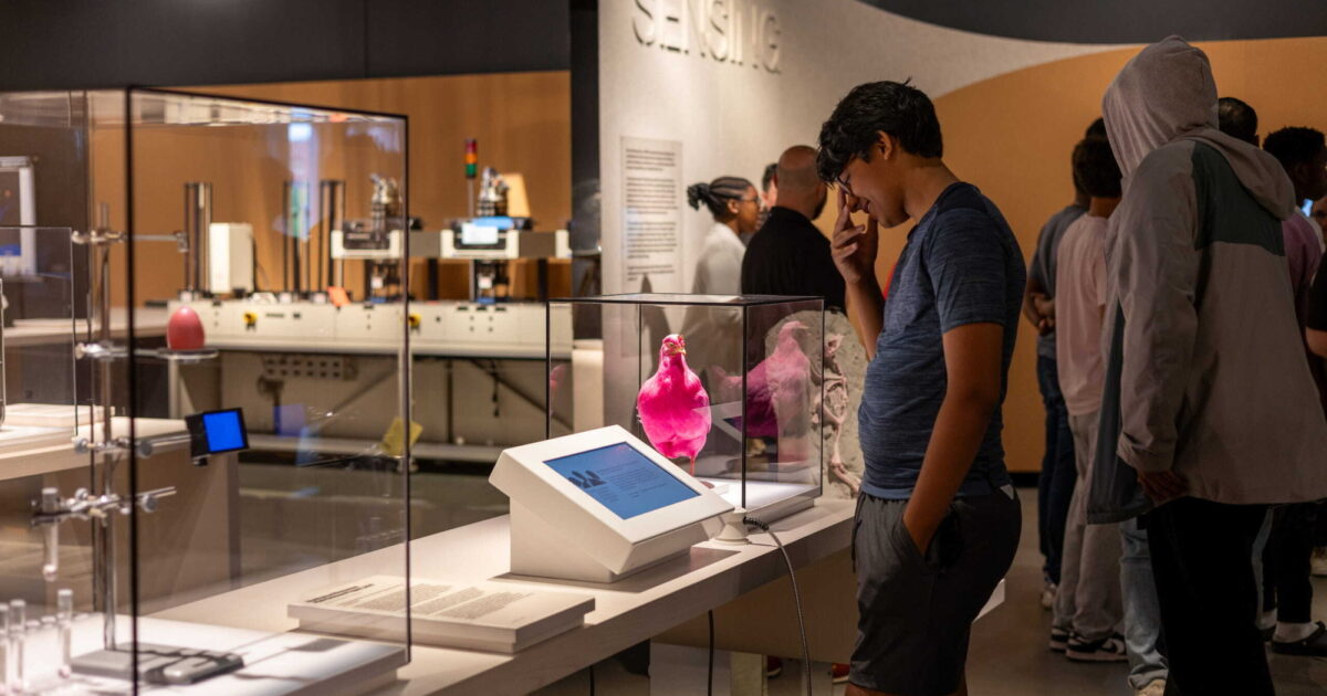 DNA Day | MIT Museum