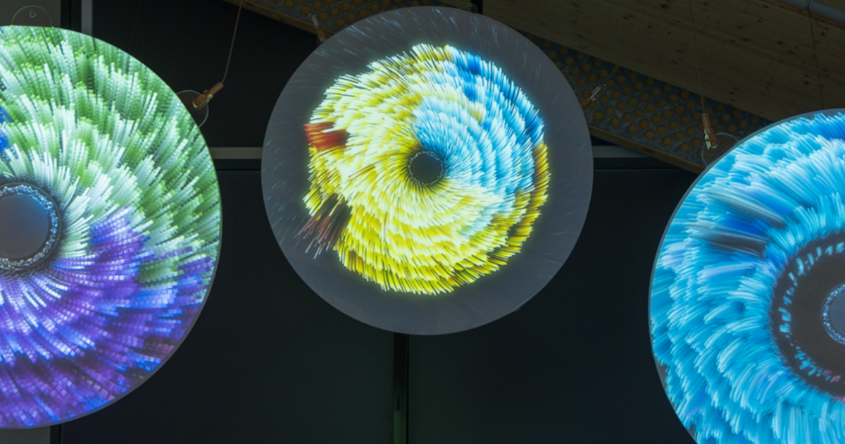 Lighten Up! On Biology and Time | MIT Museum