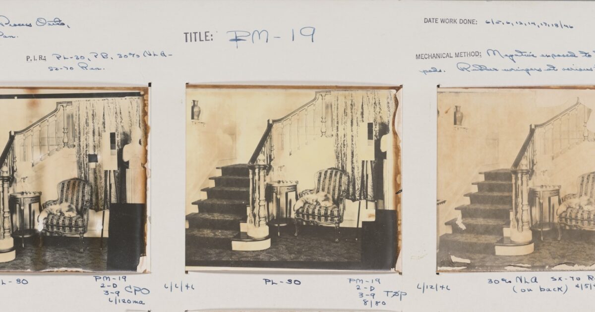 Polaroid Test Sheets | MIT Museum